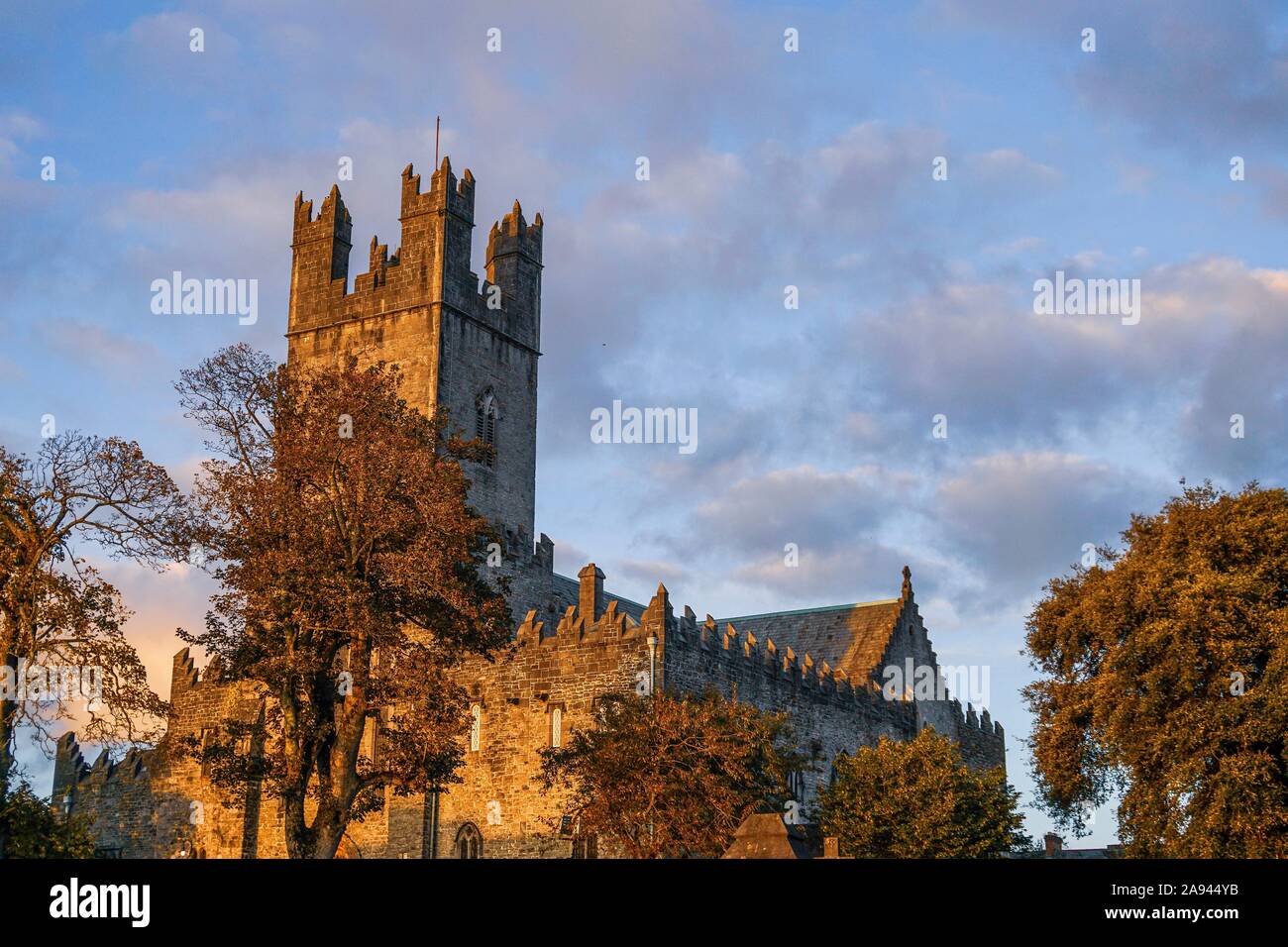 St. Mary’s Cathedral, Limerick, Ireland Stock Photo - Alamy
