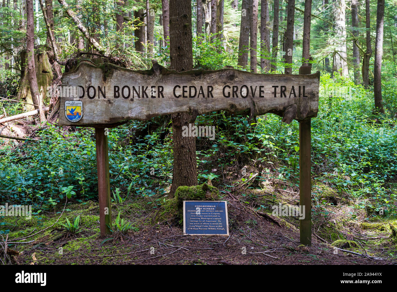 Don Bonker Cedar Grove Trail; Long Island, Washington, United States of ...