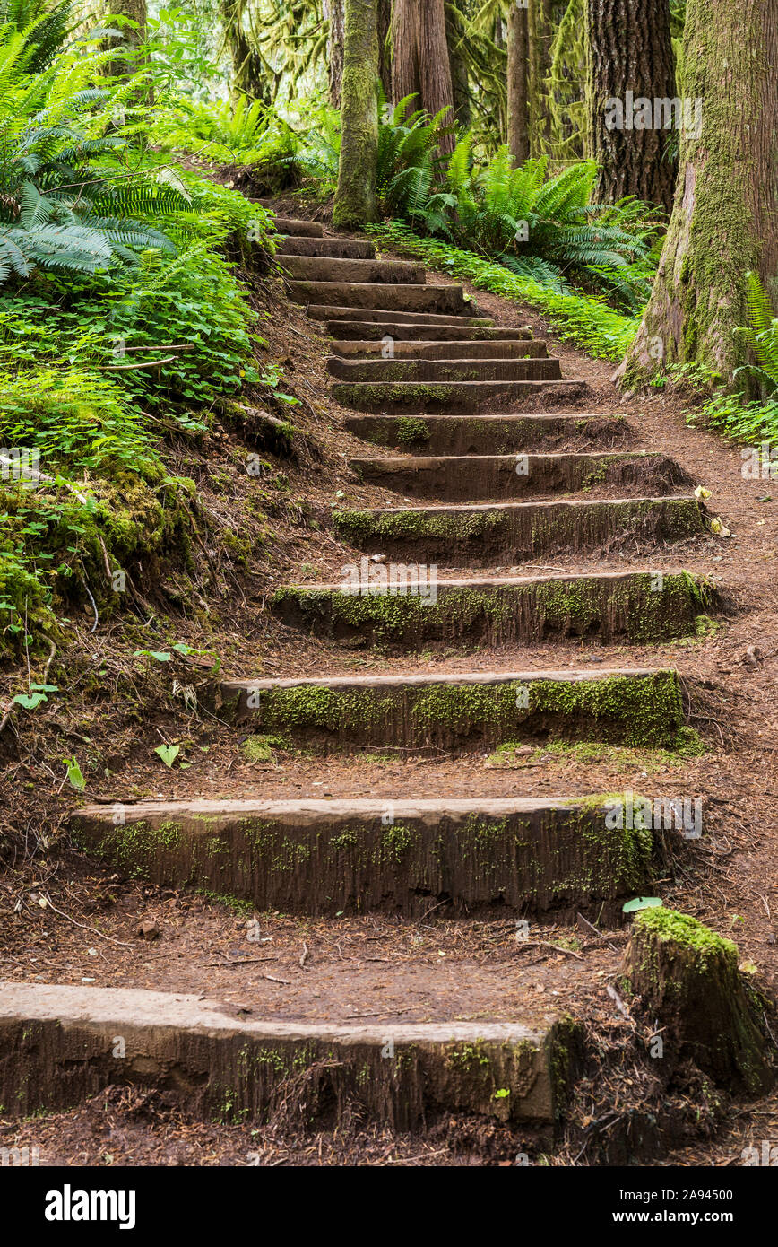 Stairway vertical wood floor hi-res stock photography and images - Alamy
