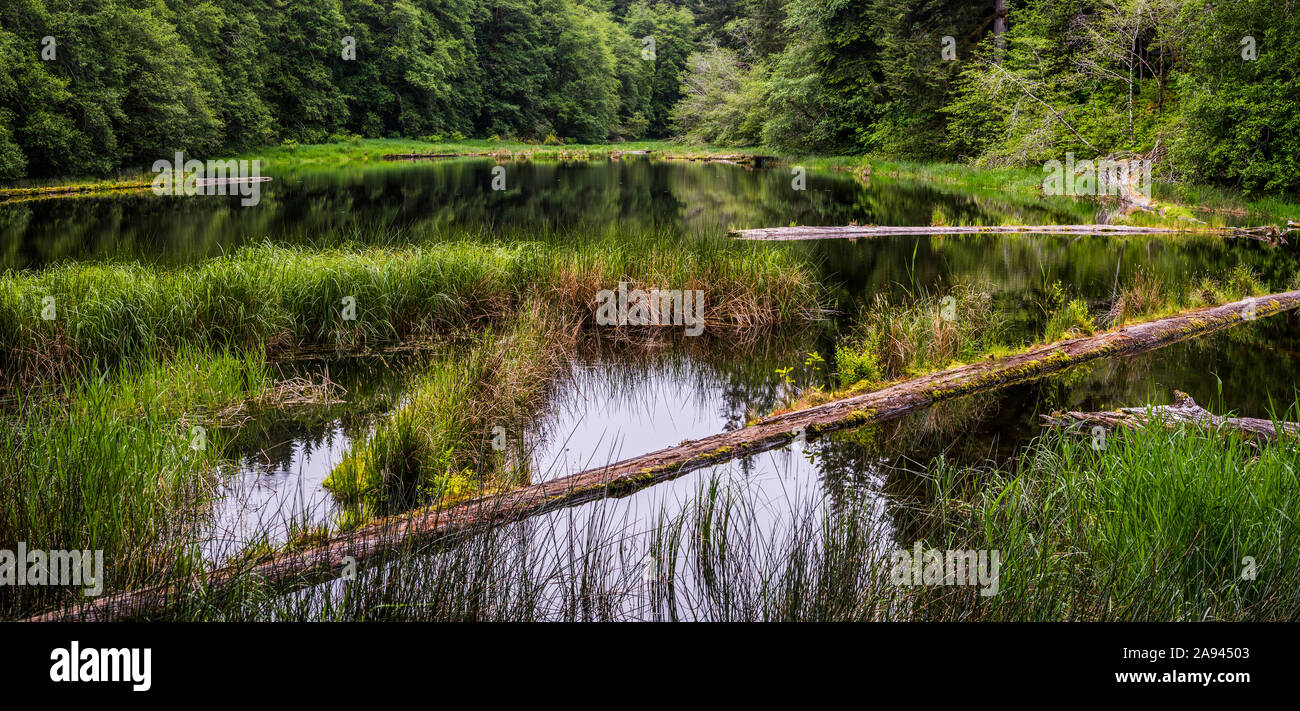 Long lake united states of america hi-res stock photography and images ...