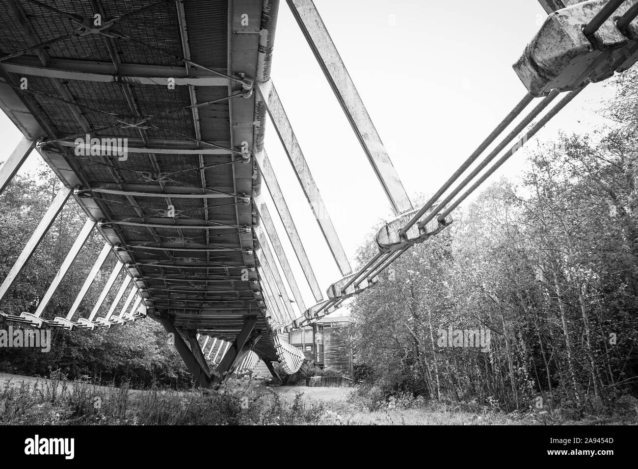 The Living Bridge, Limerick, Ireland Stock Photo - Alamy