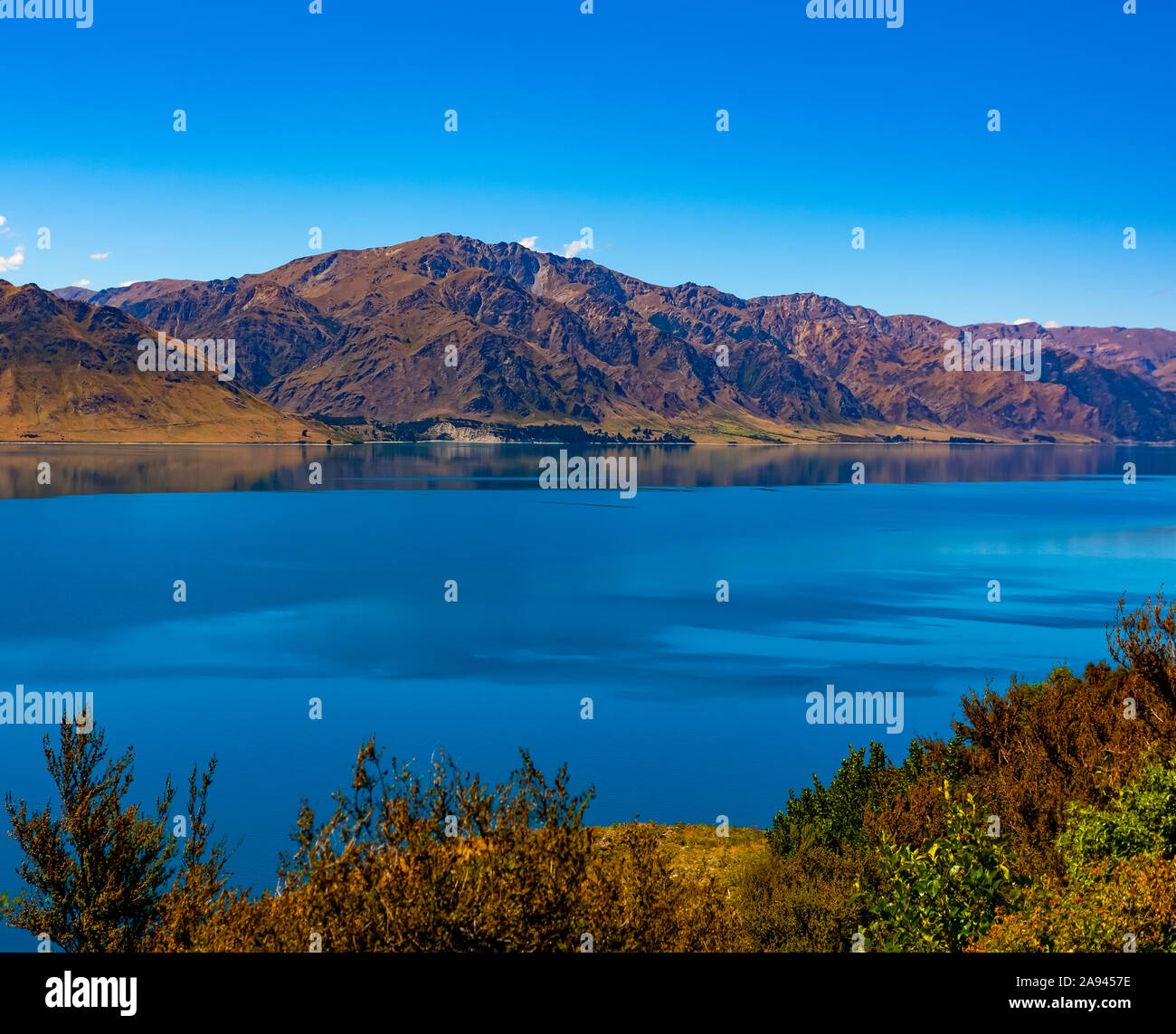 Bright blue water new zealand hi-res stock photography and images - Alamy