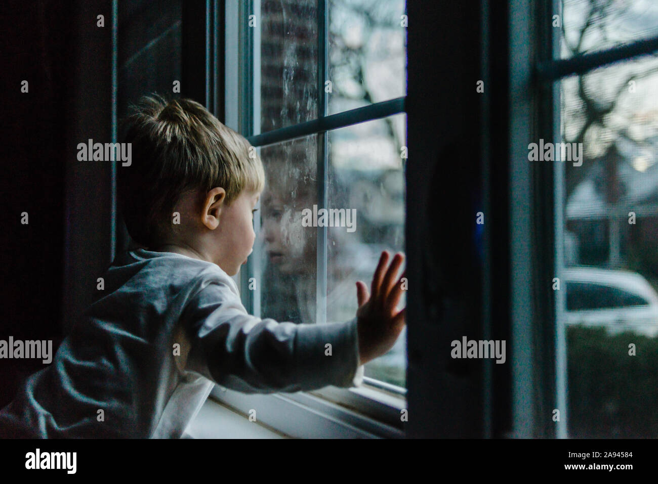 Boy touch tree hi-res stock photography and images - Alamy