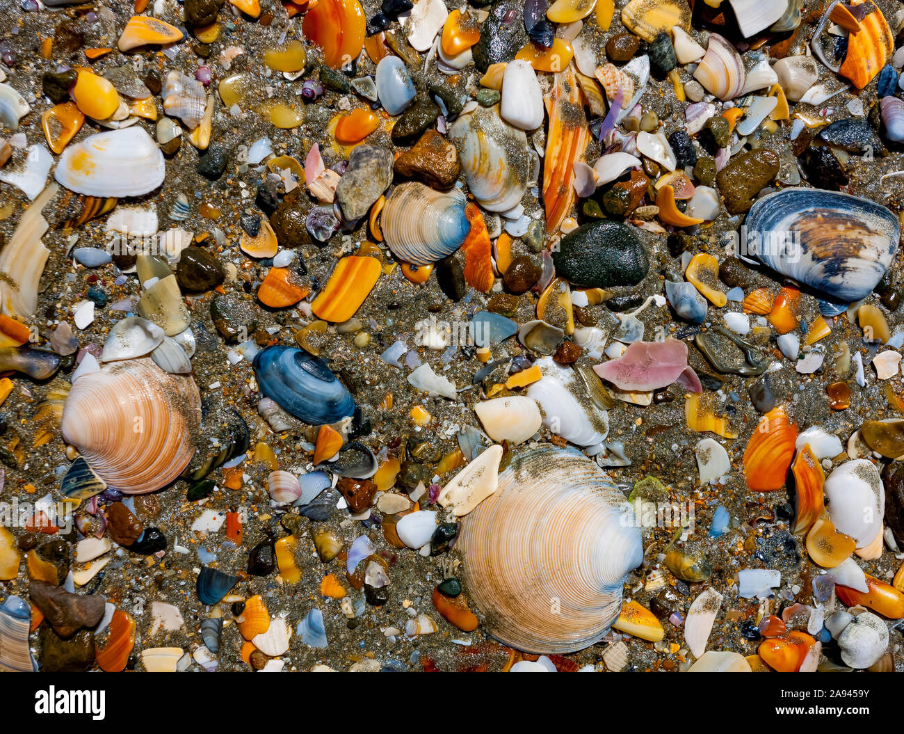 Whole beach hi-res stock photography and images - Alamy
