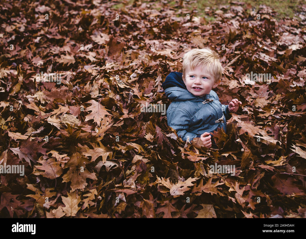 Boy in leaves hi-res stock photography and images - Alamy