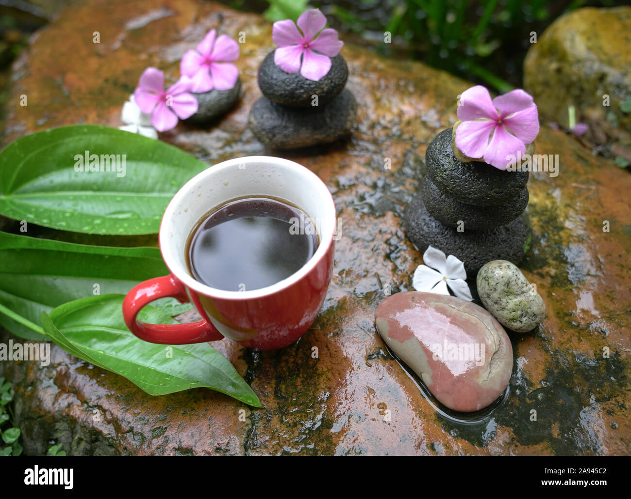 Black coffee in a red mug surrounded by zen stones and nature. Top view ...