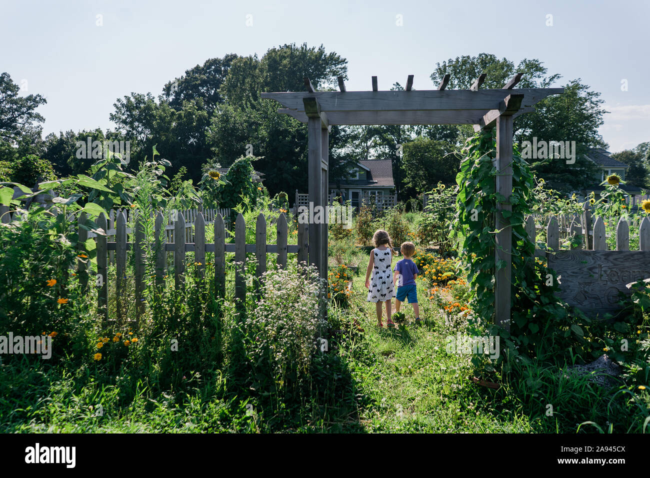 Stand under the fence hi-res stock photography and images - Alamy