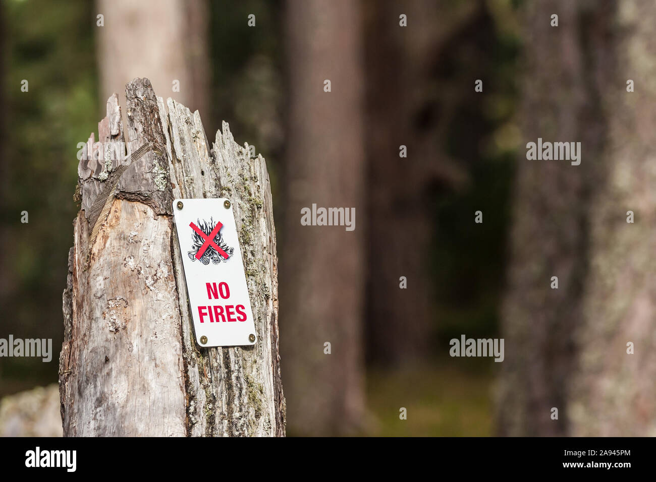 No campfire allowed hi-res stock photography and images - Alamy