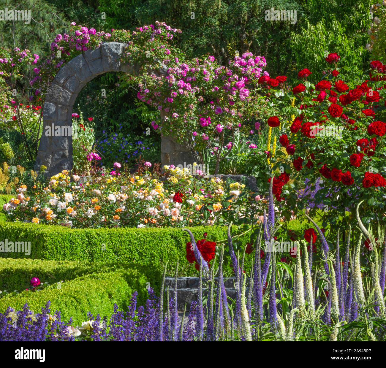 VanDusen Botanical Garden; Vancouver, British Columbia, Canada Stock ...