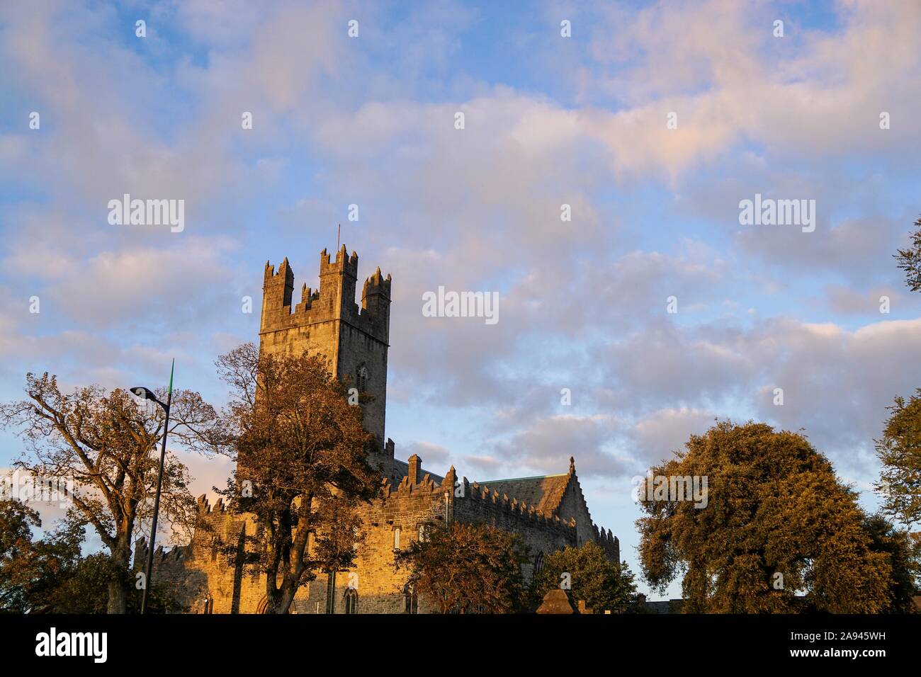 Limerick catholic cathedral hi-res stock photography and images - Alamy