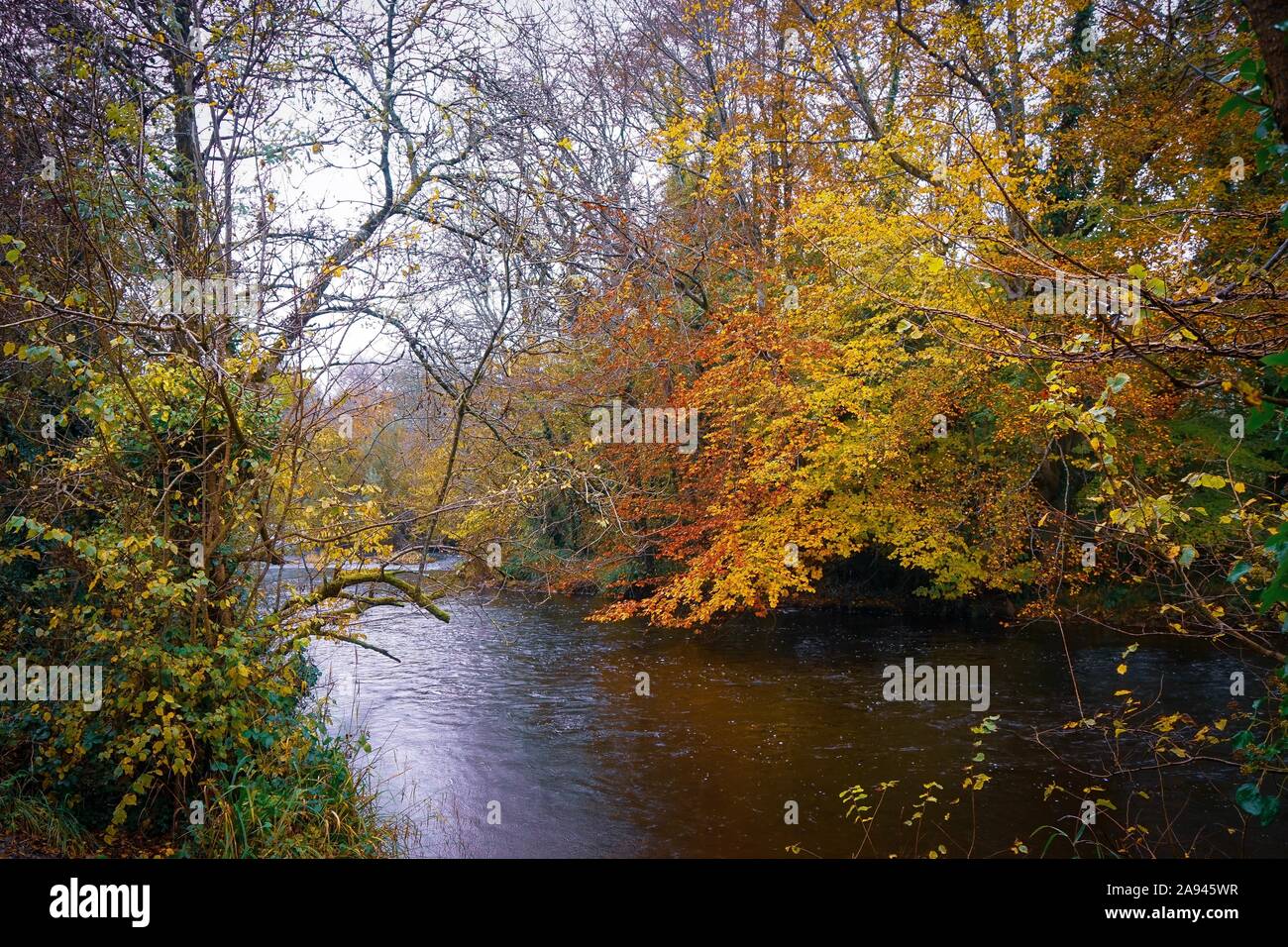 Autumn in Ireland Stock Photo - Alamy