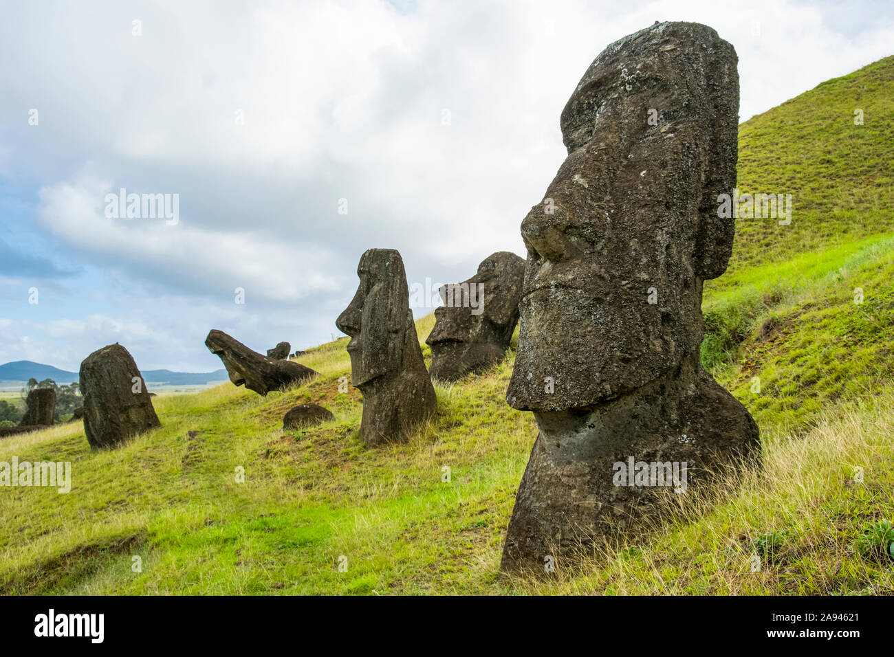 A faint pathway leads us between several moai heads protruding from a ...