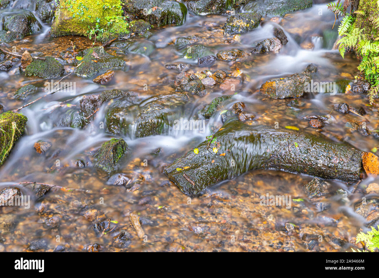 Stream and Running Water through forest with long exposure to create ...