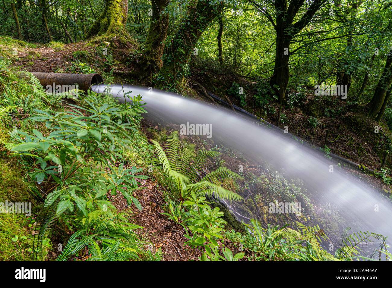 The effects of cold water exposure hi-res stock photography and images ...