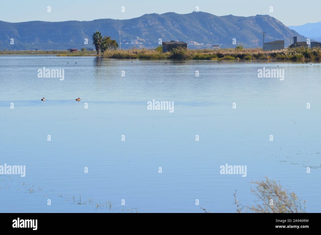 Albufera natural park, a wetland of international importance in ...