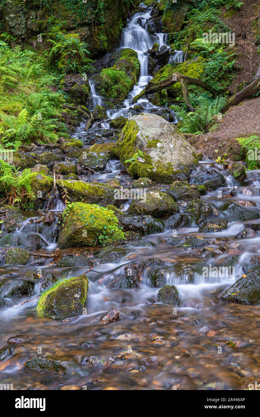 Running Water Stream