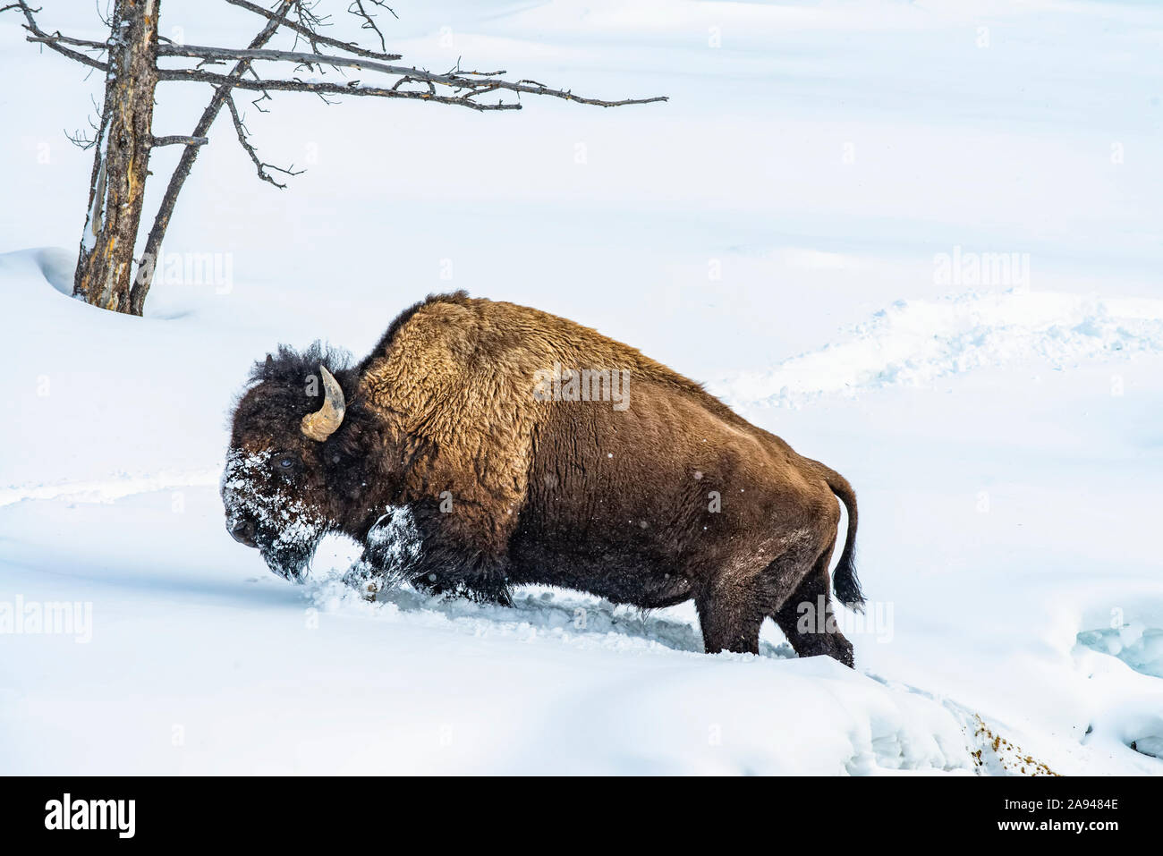 Deep river valley hi-res stock photography and images - Alamy