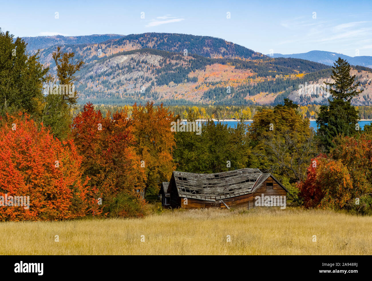 Autumn coloured foliage in the Okanagan Valley; British Columbia ...
