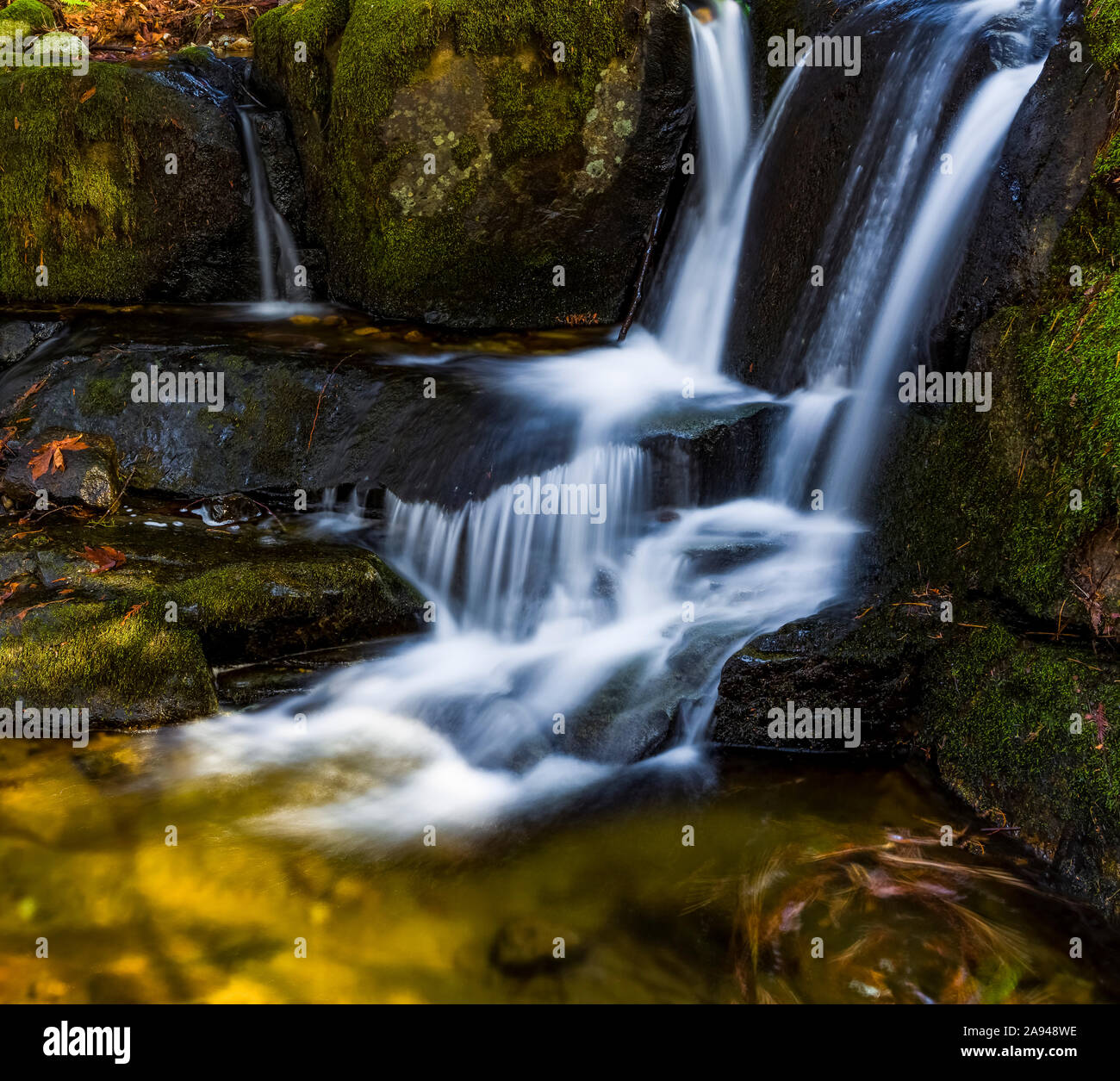 Anderson creek hi-res stock photography and images - Alamy