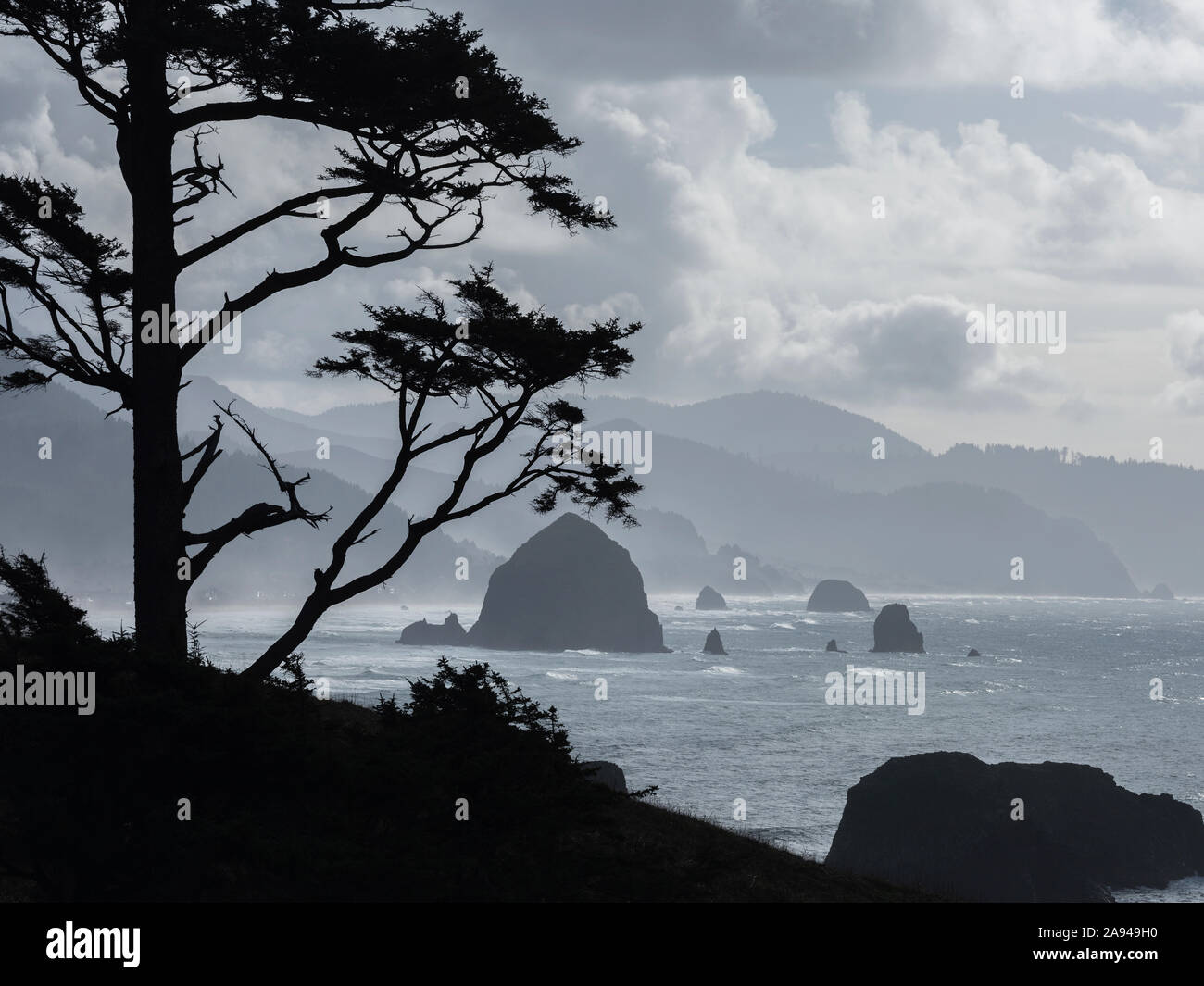 The wild shoreline of the Oregon coast during a spring storm; Oregon ...