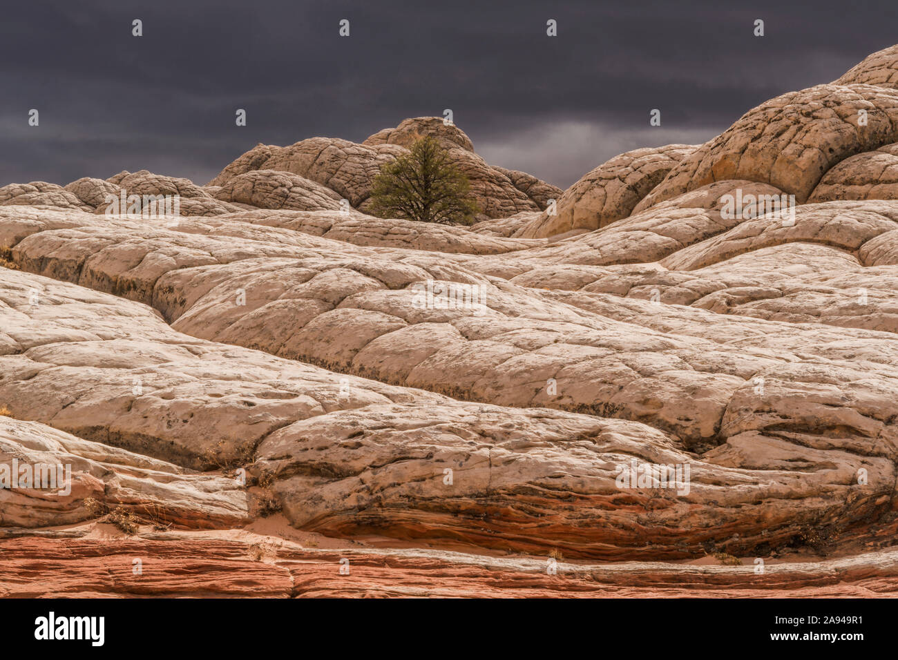 The amazing rock and sandstone formations of White Pocket; Arizona ...