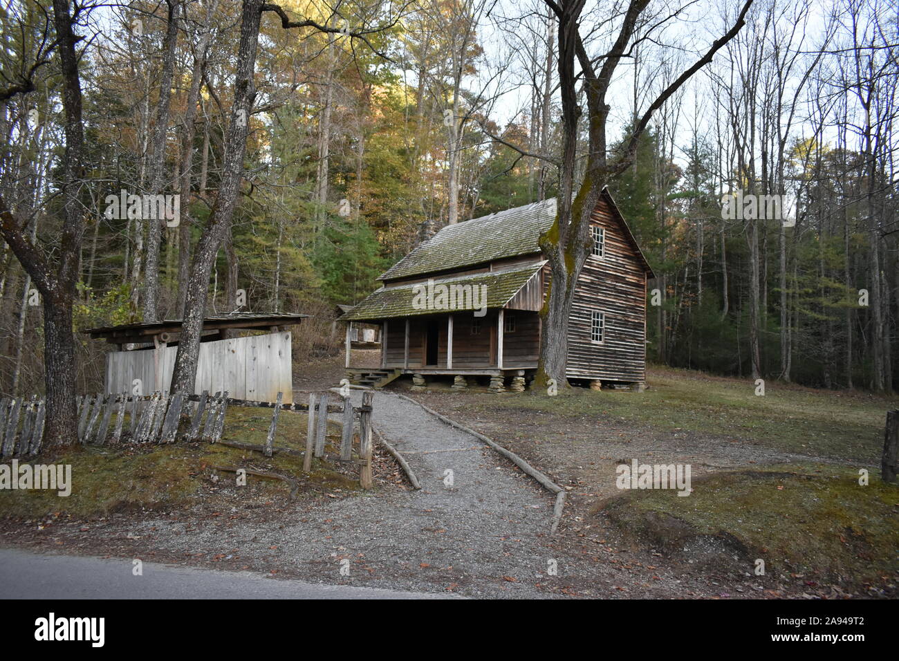 Rustic home in the woods Stock Photo - Alamy