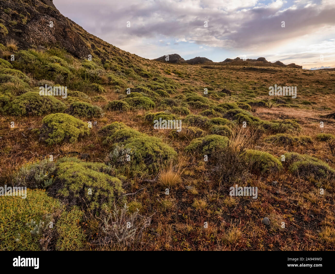 Incredible scenery around the Torres Del Paine National Park of ...