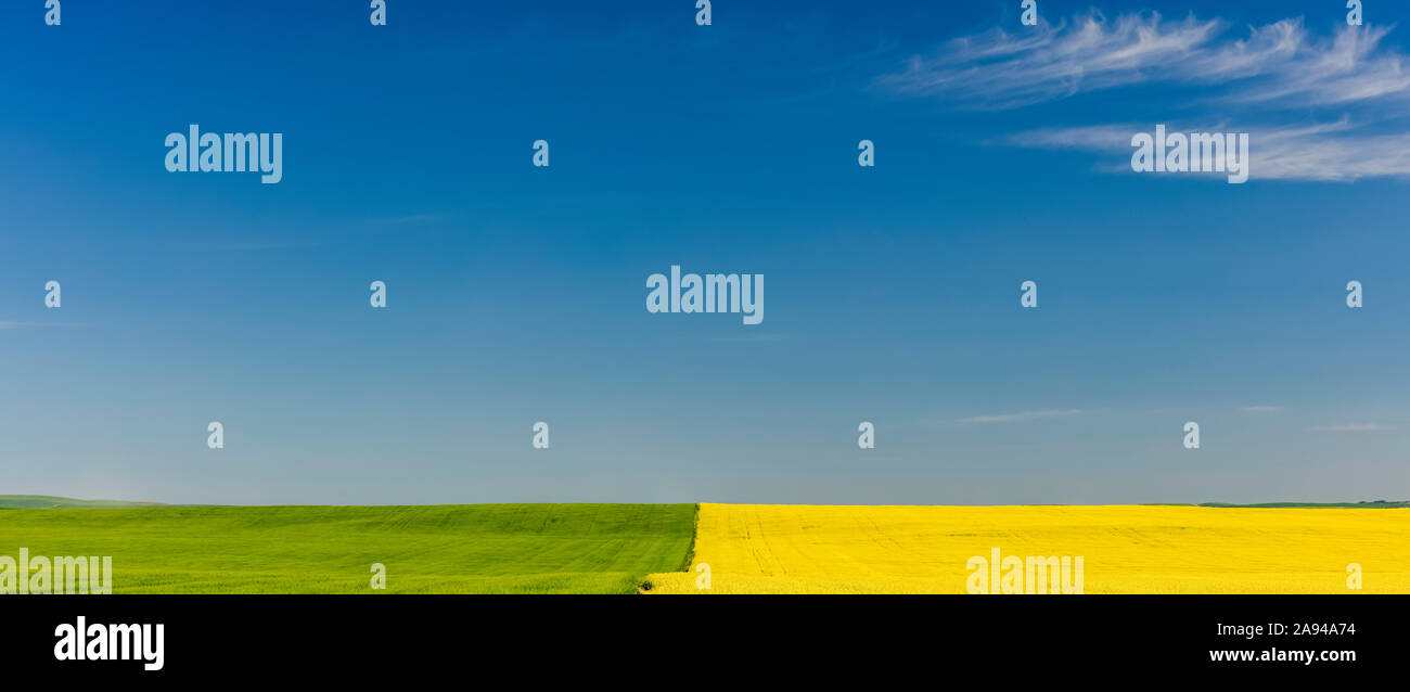 Farm fields of green and yellow side by side under a blue sky ...