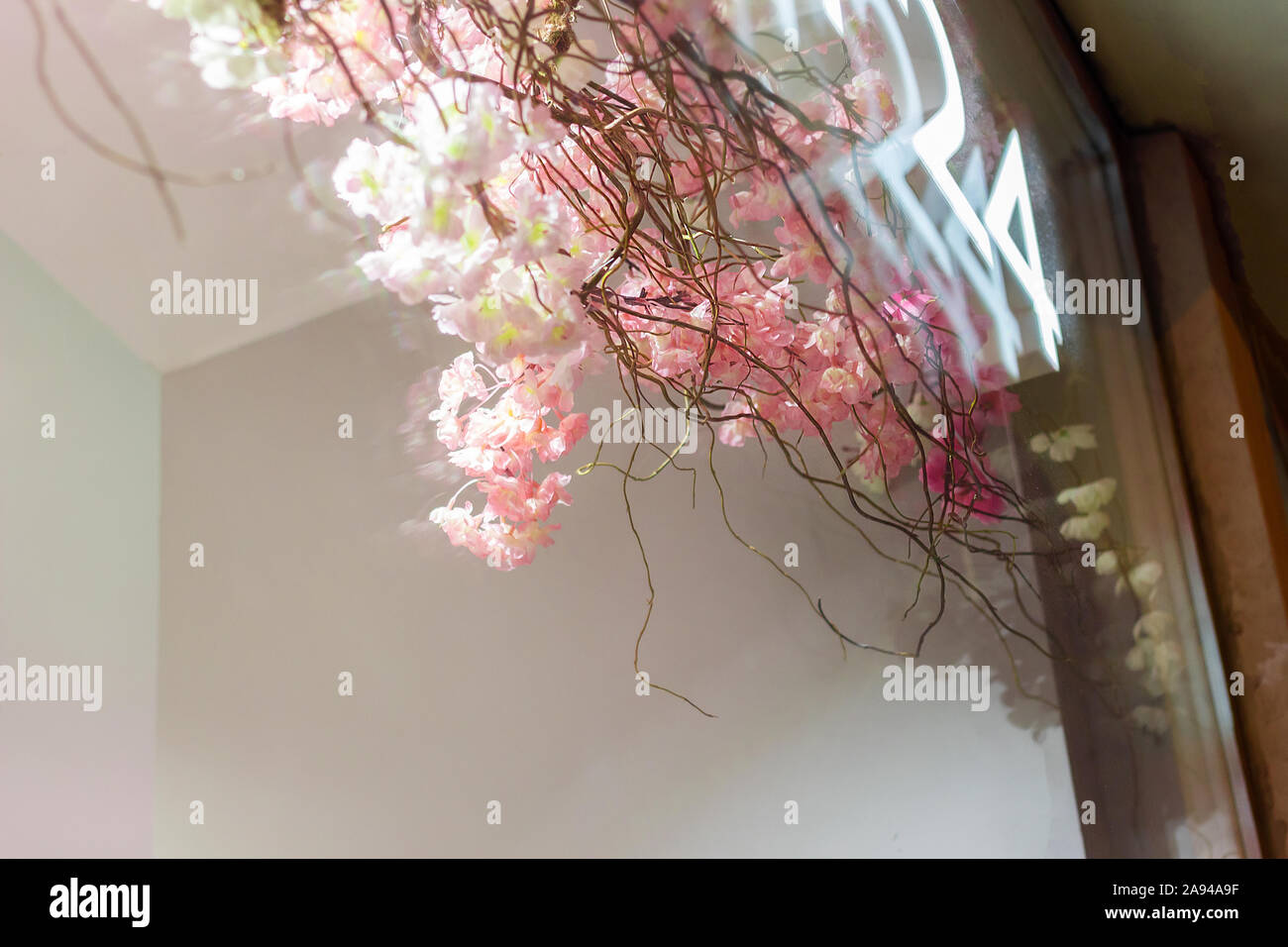 24 Hours Flower High Resolution Stock Photography and Images - Alamy