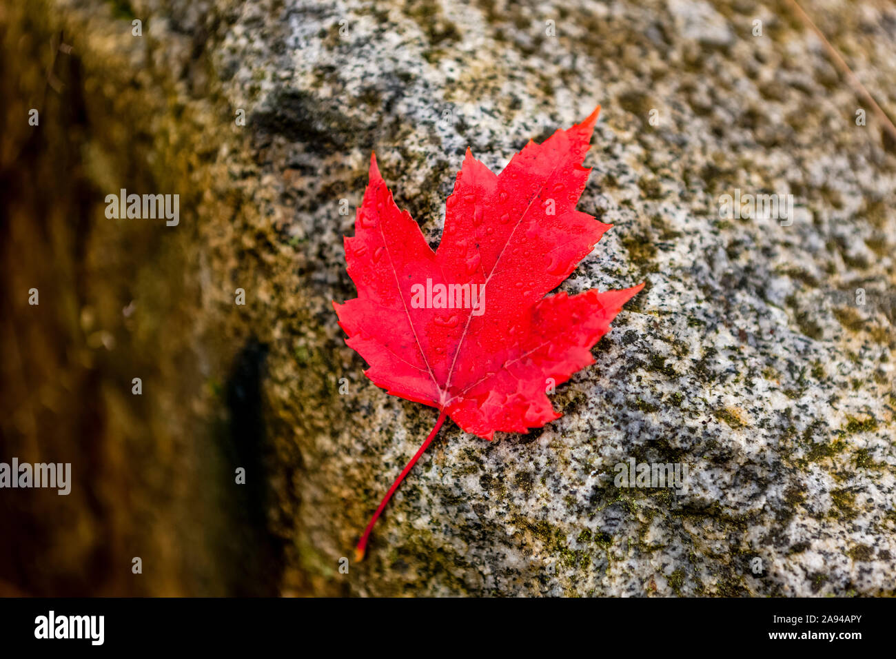 Prairie symbol hi-res stock photography and images - Alamy