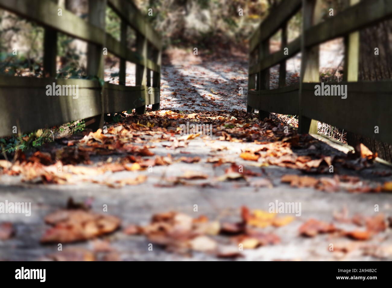 Wooden bridge covered in Autumn leaves Stock Photo - Alamy