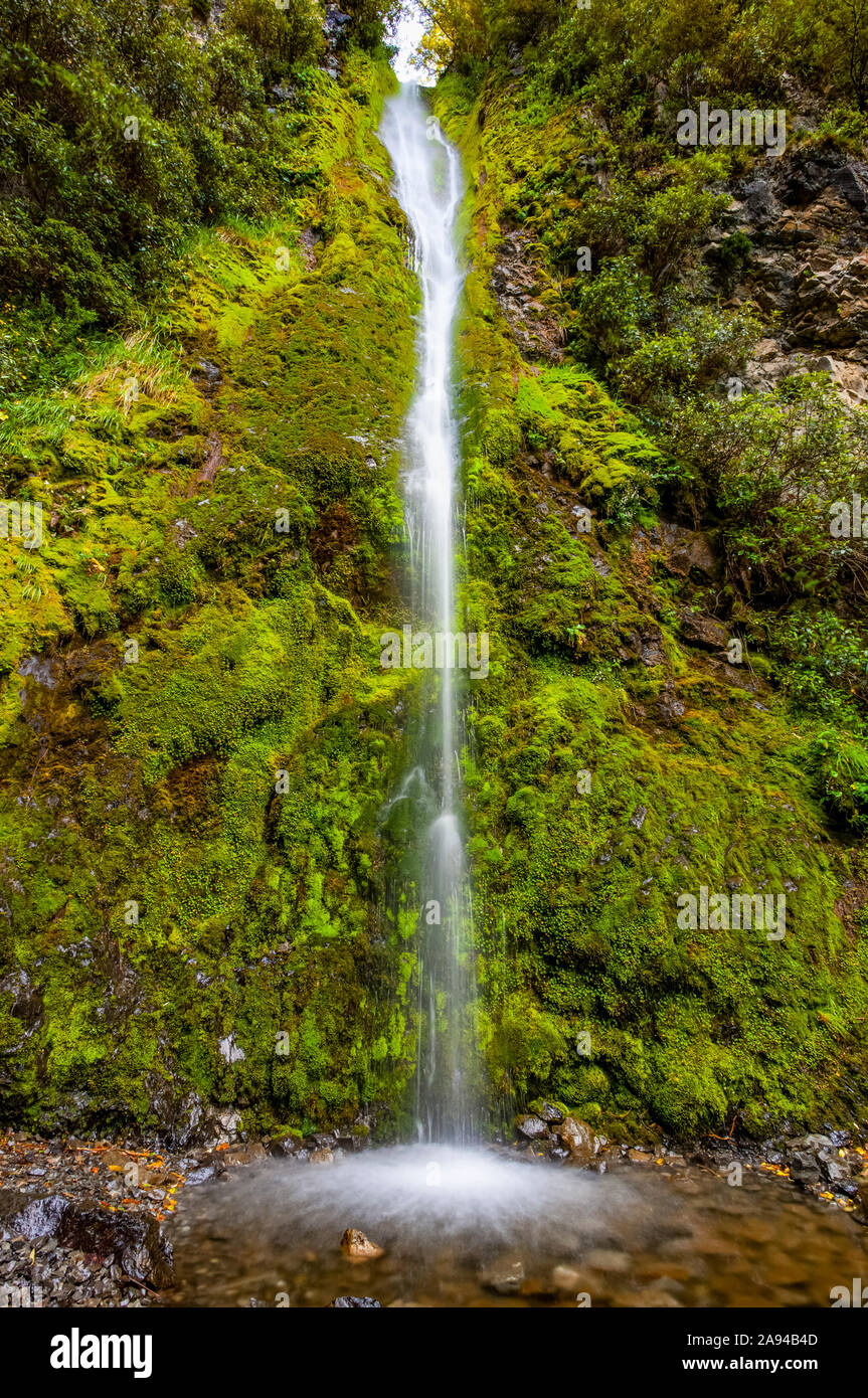 Dog Stream waterfall, Hanmer Springs; South Island, New Zealand Stock ...