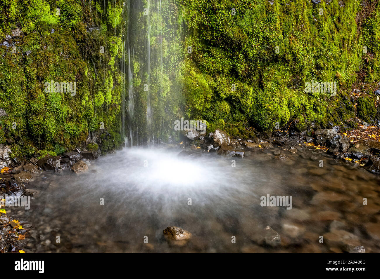 Dog Stream waterfall, Hanmer Springs; South Island, New Zealand Stock ...
