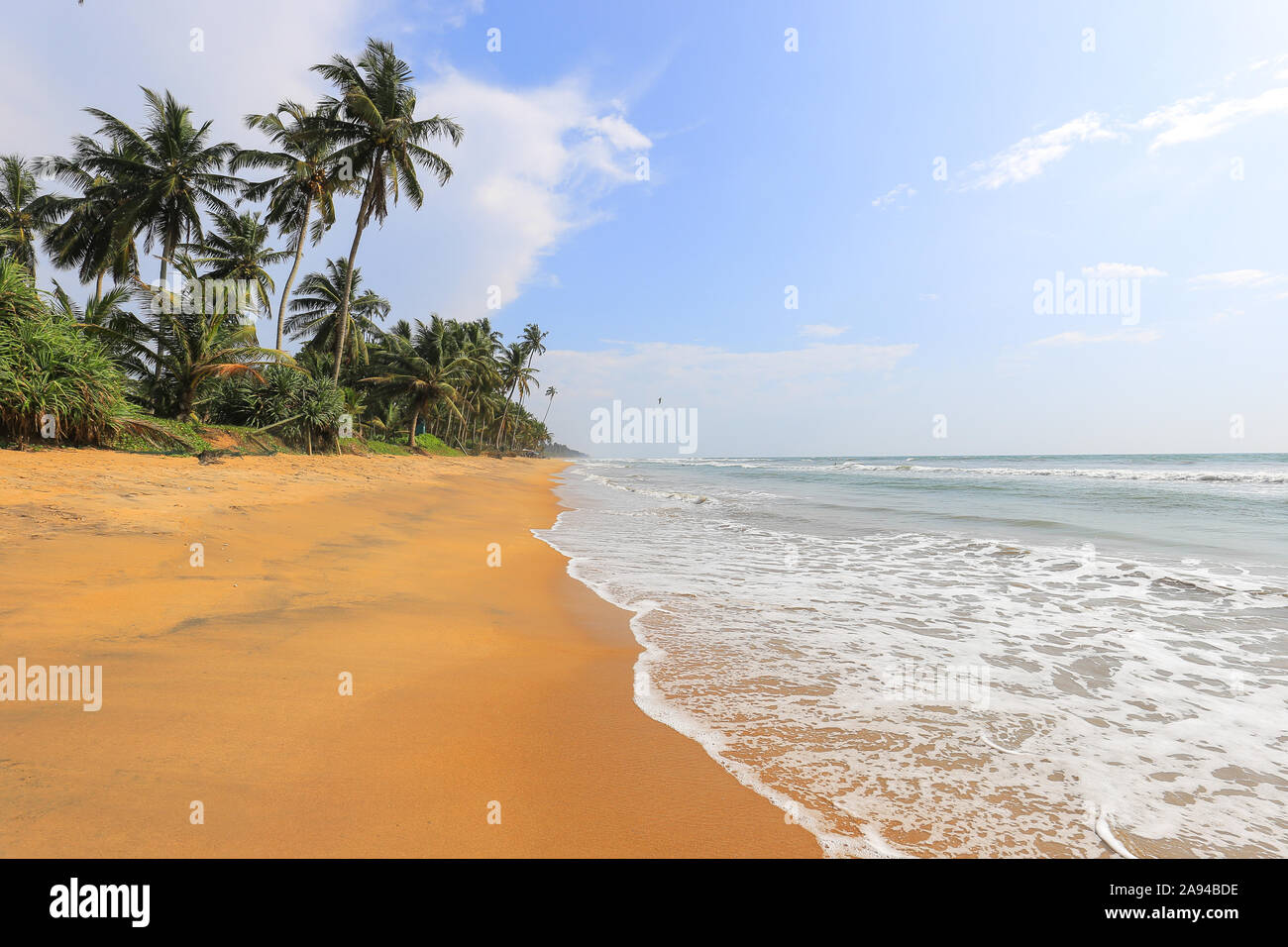 Sun, sand and ocean beach in Sri Lanka Stock Photo - Alamy
