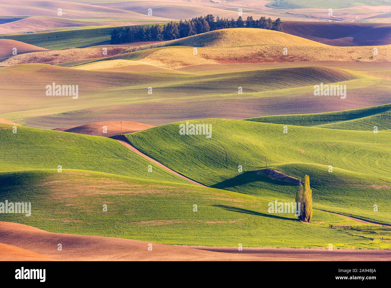Palouse hills region hi-res stock photography and images - Alamy