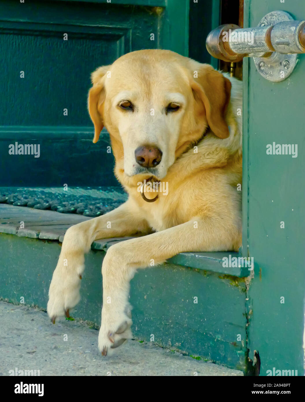 Good old boy hi-res stock photography and images - Alamy