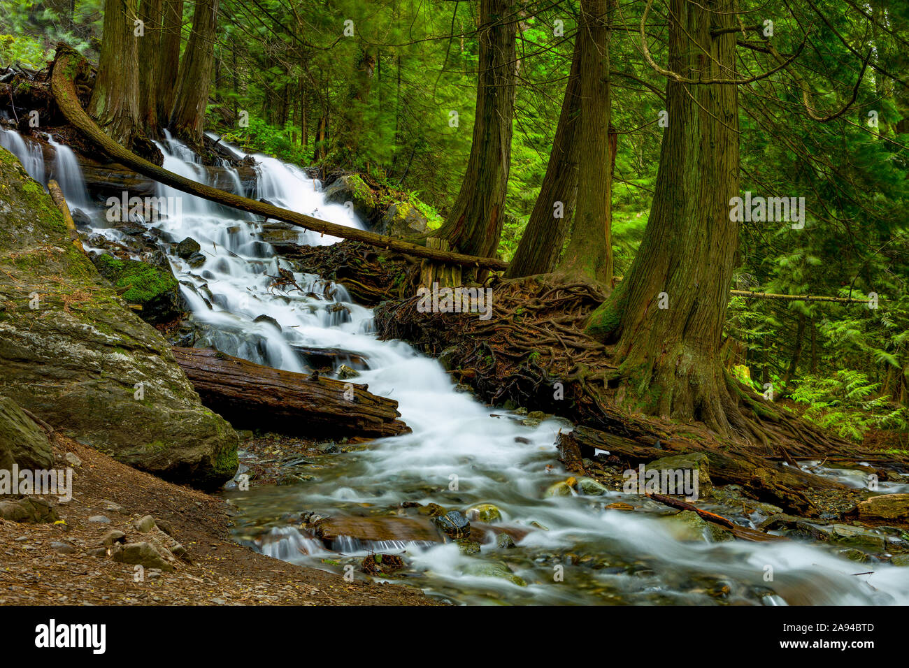 Bridal Veil Falls, Bridal Veil Falls Provincial Park; British Columbia ...