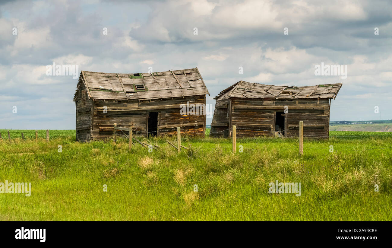 Two collapsing barns sitting on farmland, Kneehill County; Drumheller ...
