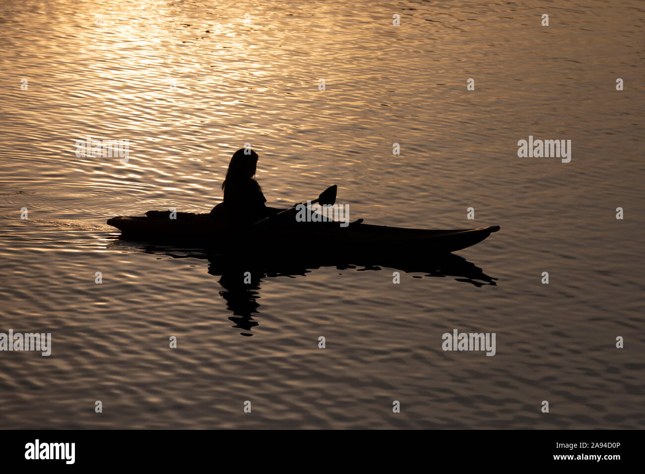Lady bird lake austin texas hi-res stock photography and images - Alamy