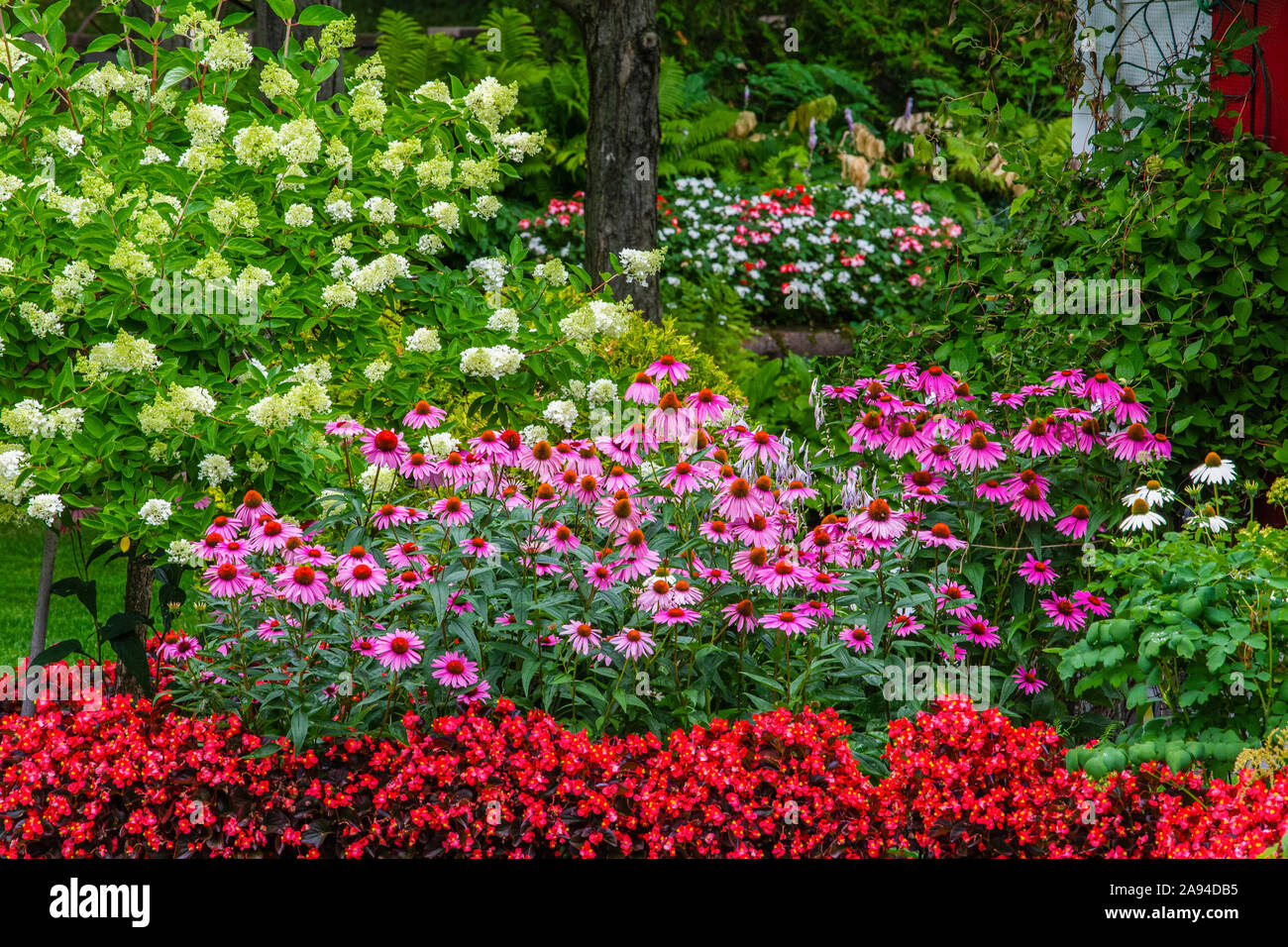 Landscaped flower garden in bloom in a yard; Hudson, Quebec, Canada ...