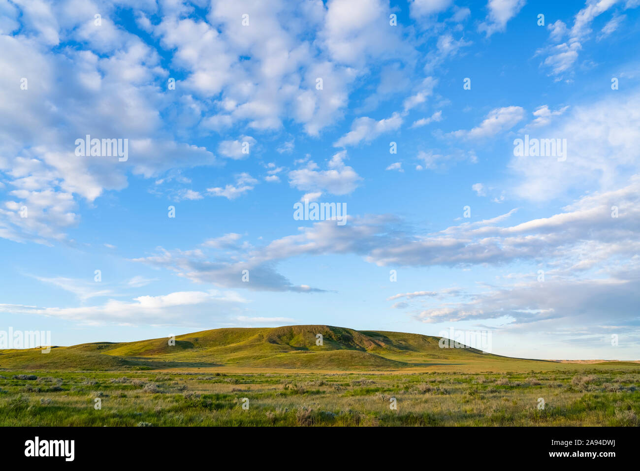 Lush green grass on field and hill, Grasslands National Park; Val Marie ...