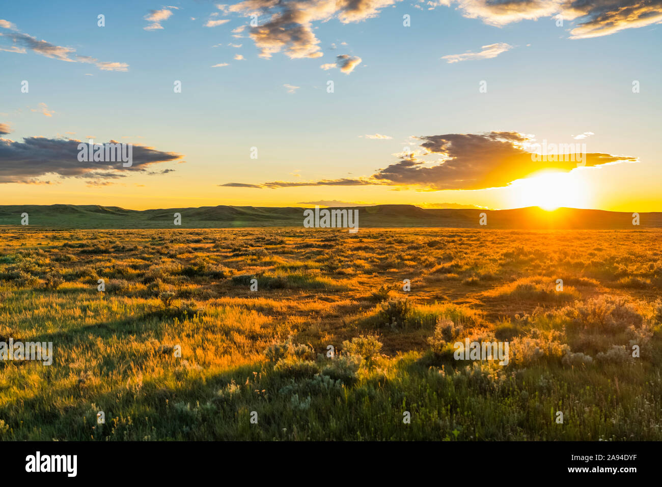 Prairies grasslands hi-res stock photography and images - Alamy