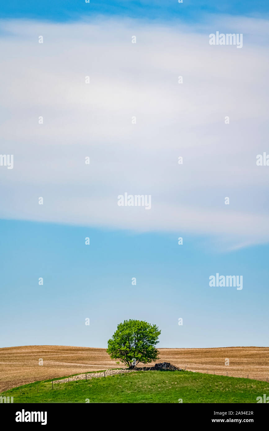 Prairie provinces hi-res stock photography and images - Alamy