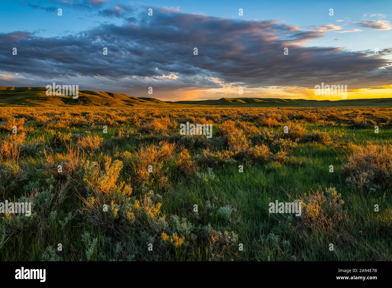 Saskatchewan Landscape Sunset