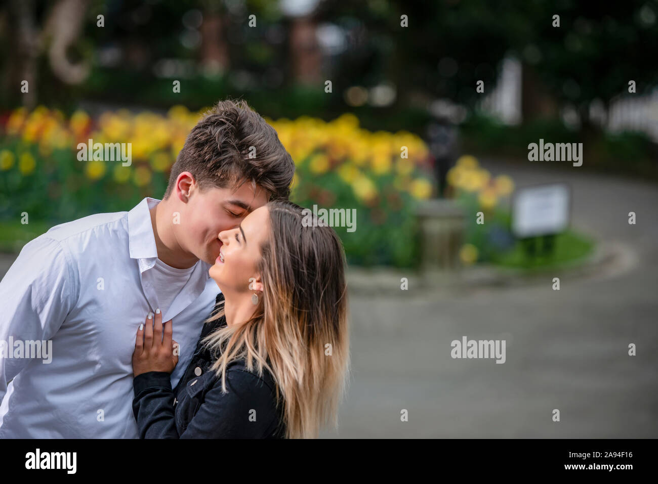 Showing affection loving young hi-res stock photography and images - Alamy