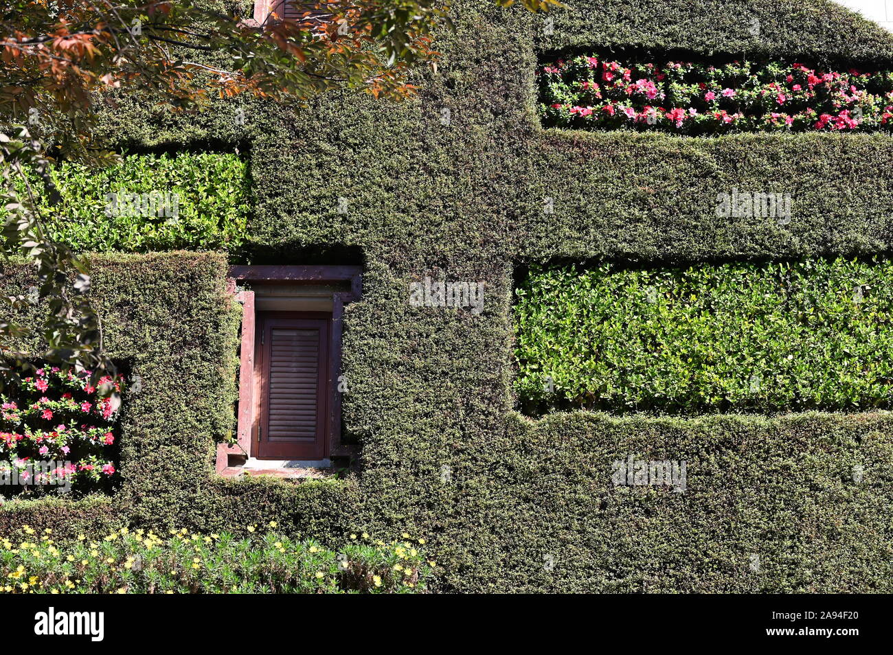 beautiful green plants and flowers covering the front of a building in ...