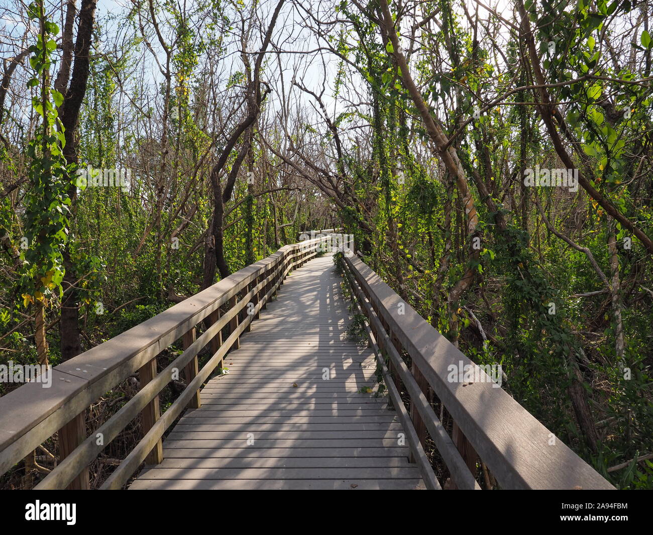 Everglades National Park, Florida - January 3, 2019: West Lake ...