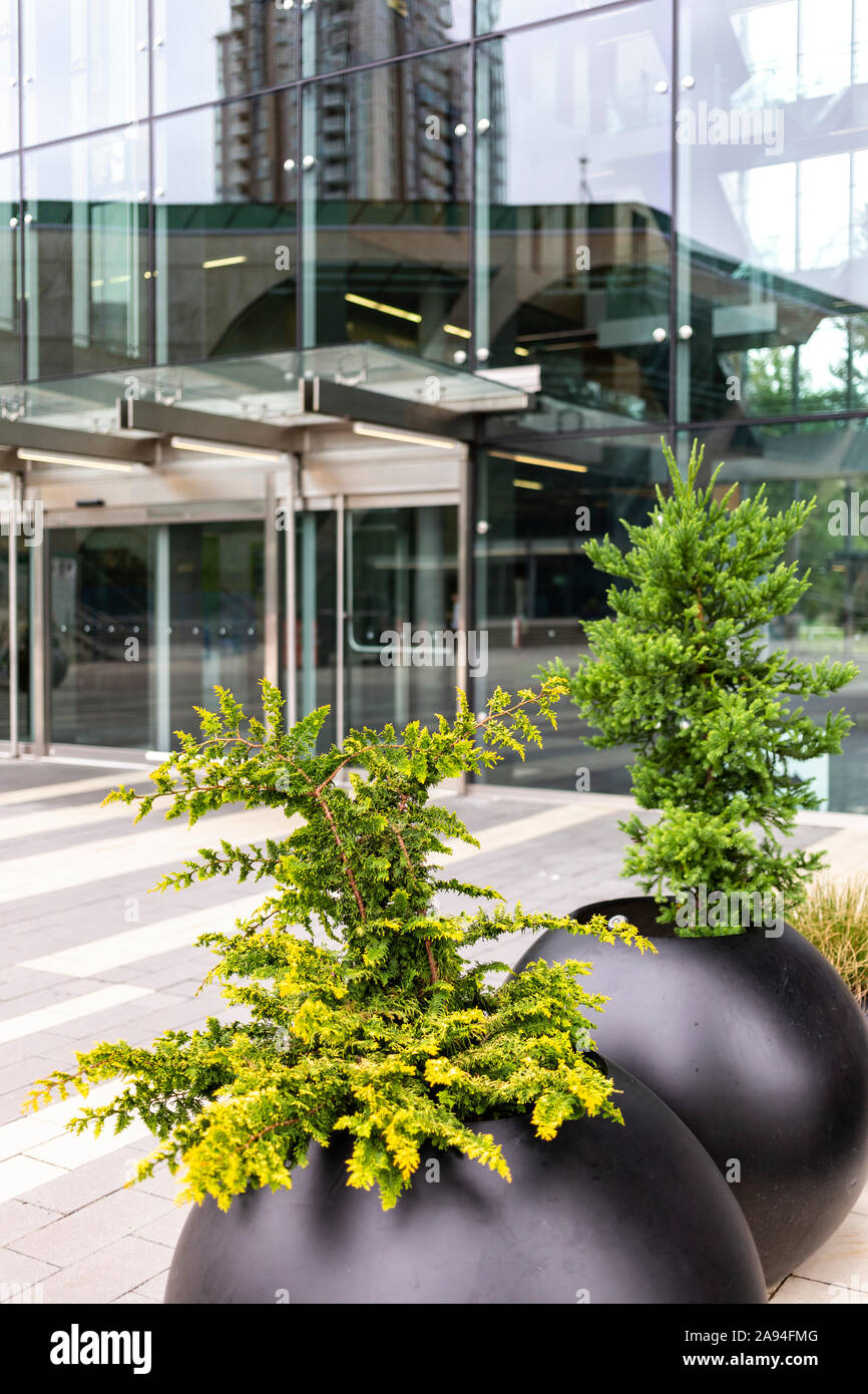 Entrance doors to a glass facade building with trees in planters ...