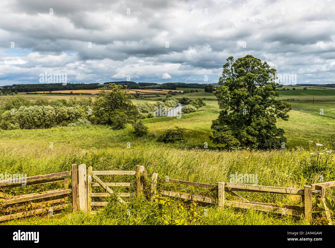 River of grass through field hi-res stock photography and images - Alamy
