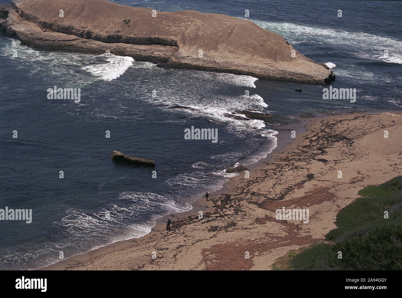 Ocean wave on the land Stock Photo - Alamy